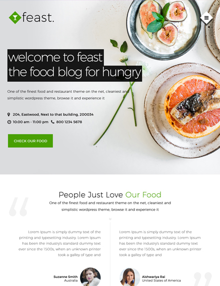 Free Food Blog HTML5/CSS3 Website