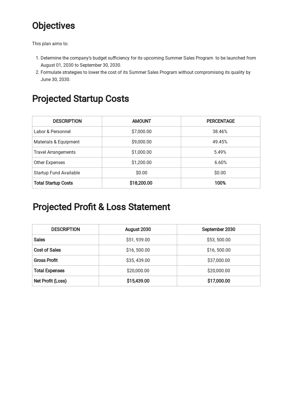 Program Budget Plan Template Google Docs Word Apple Pages PDF