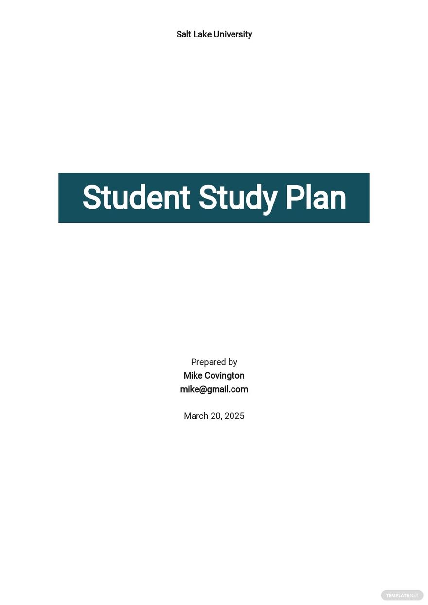 College Study Plan Template Free PDF Google Docs Word PDF