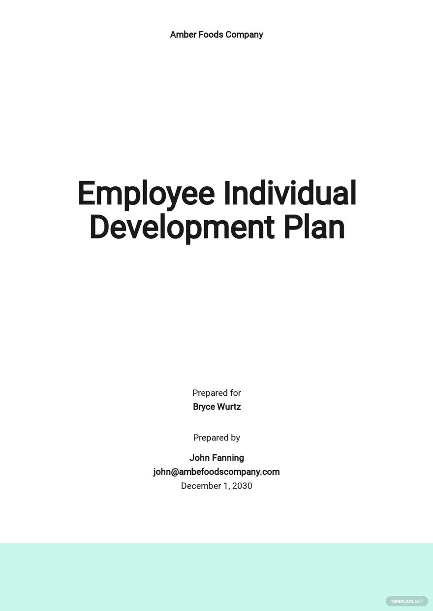Individual Development Plan Template For Employees - Google Docs, Word ...