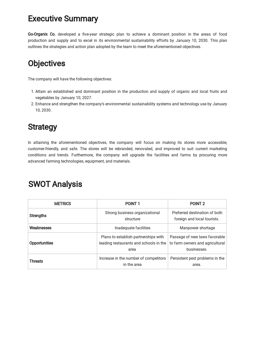 5 Year Strategic Plan Template In Google Docs Word PDF Template