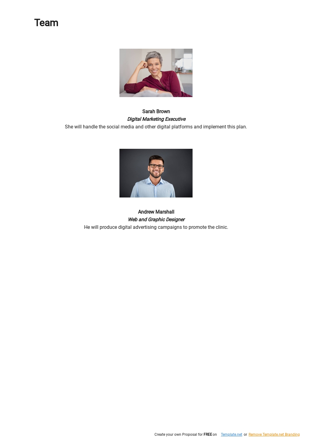 Digital Marketing Communications Plan Template - Google Docs, Word ...