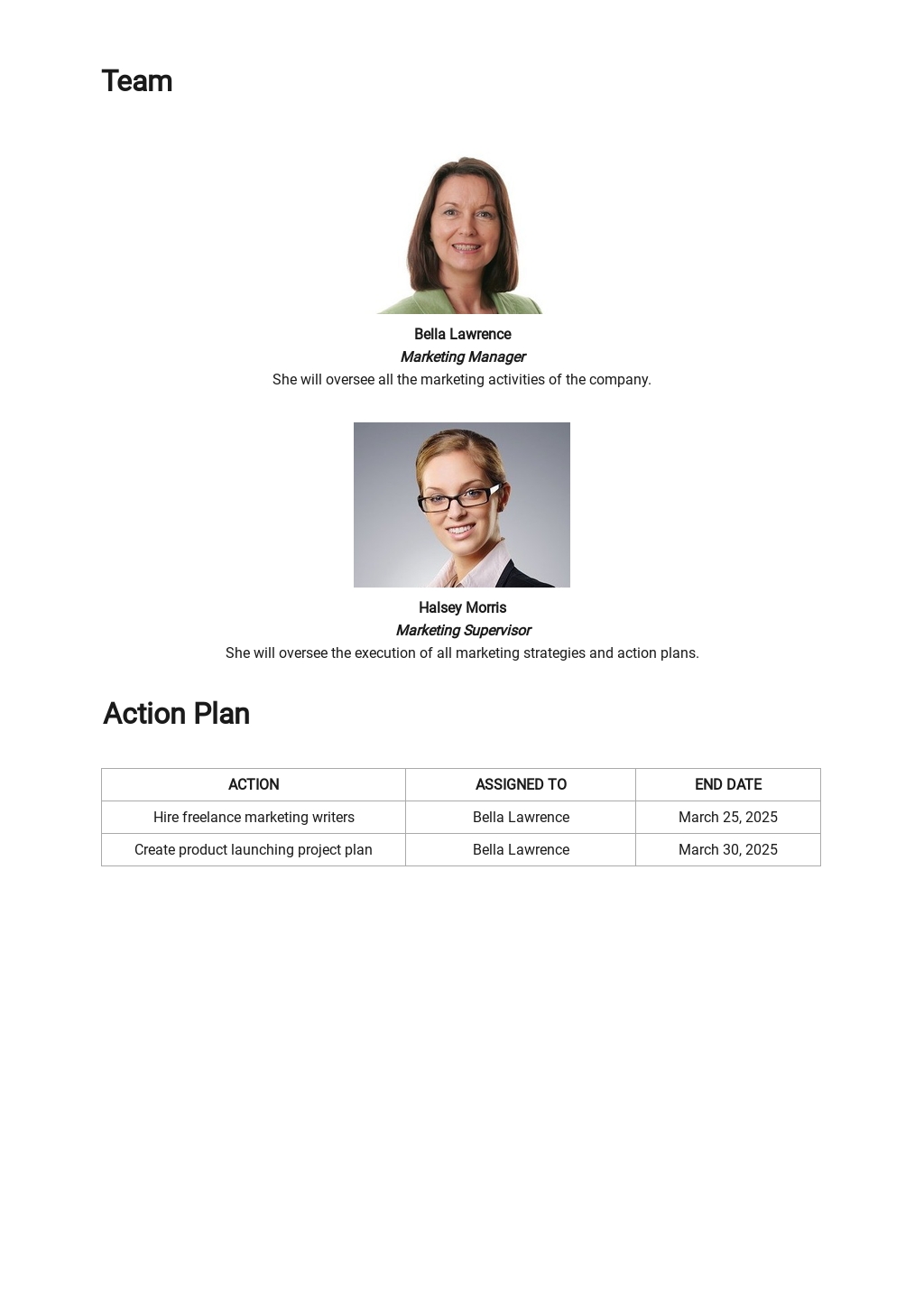 Strategic Marketing Communication Plan Template [Free PDF] | Template.net