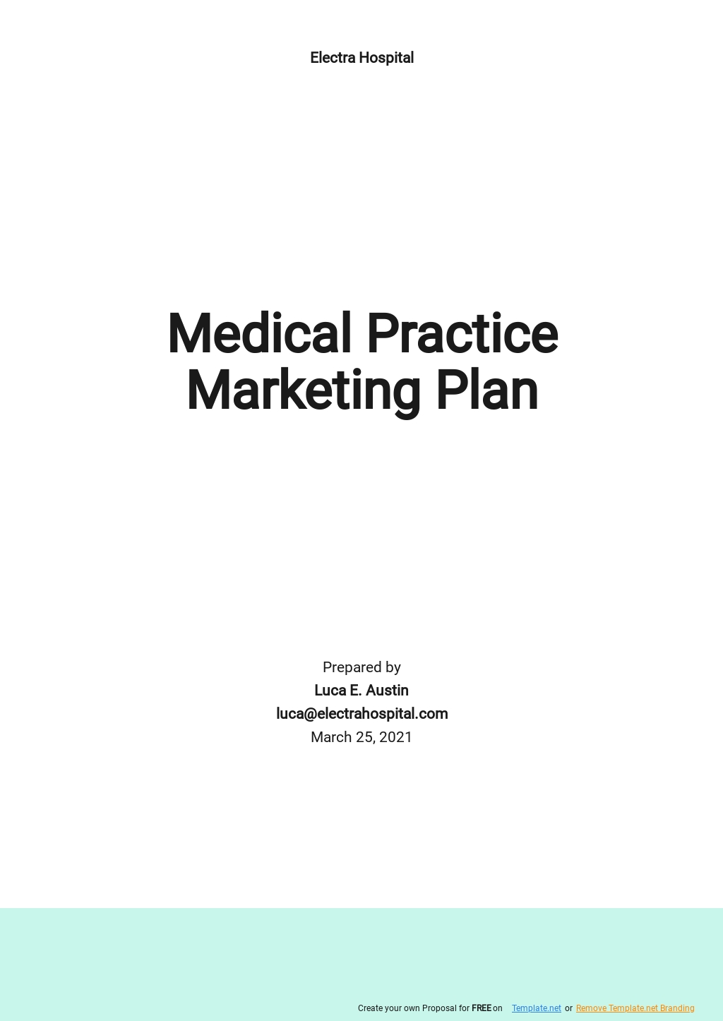 Medical Practice Business Plan Template Google Docs Word Apple
