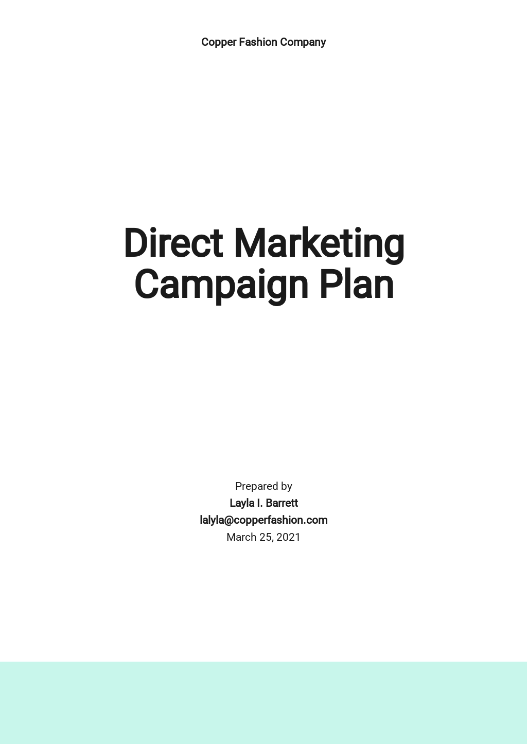 Free Sample Digital Marketing Campaign Plan Template - Google Docs ...