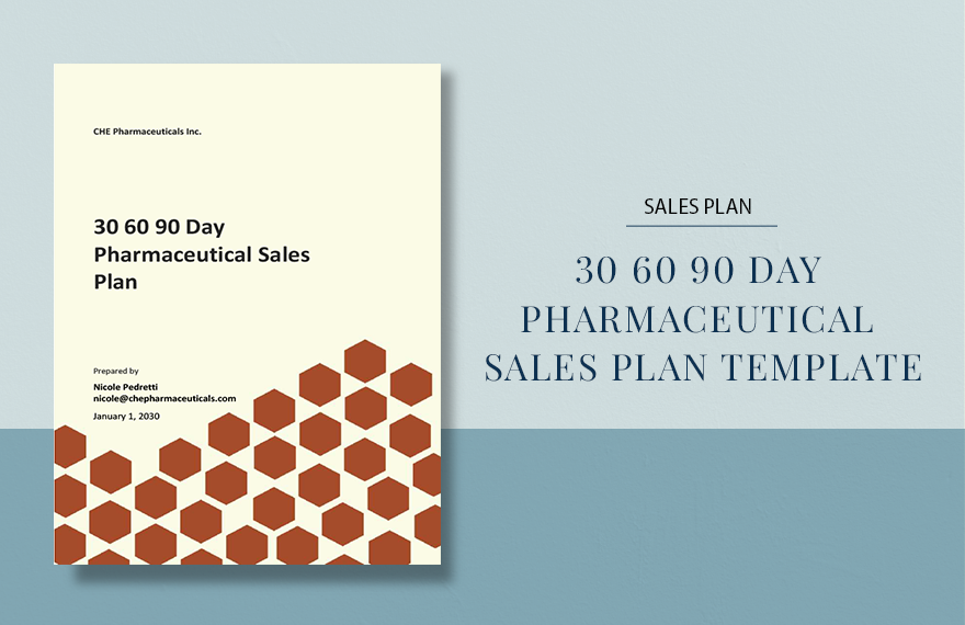 30 60 90 Day Pharmaceutical Sales Plan Template Download In Word Google Docs PDF Apple 