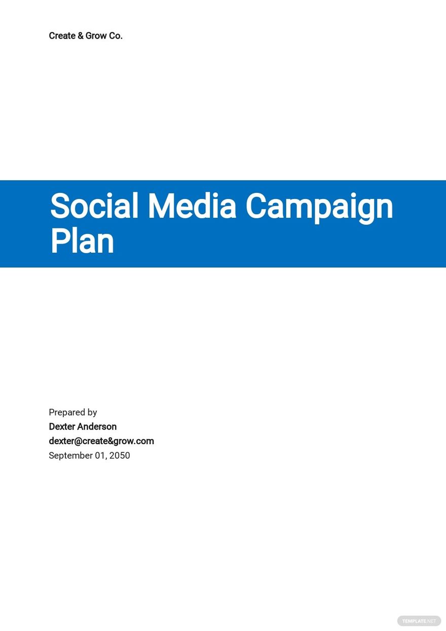 Marketing Campaign Plan Template Free PDF Google Docs Word 