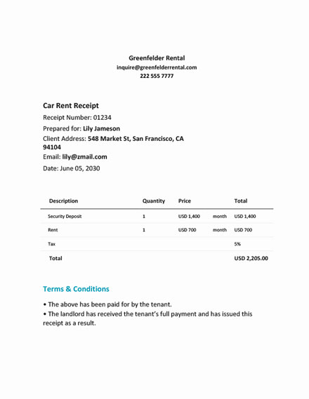 Simple Car Rental Receipt Template - Google Docs, Google Sheets, Excel ...