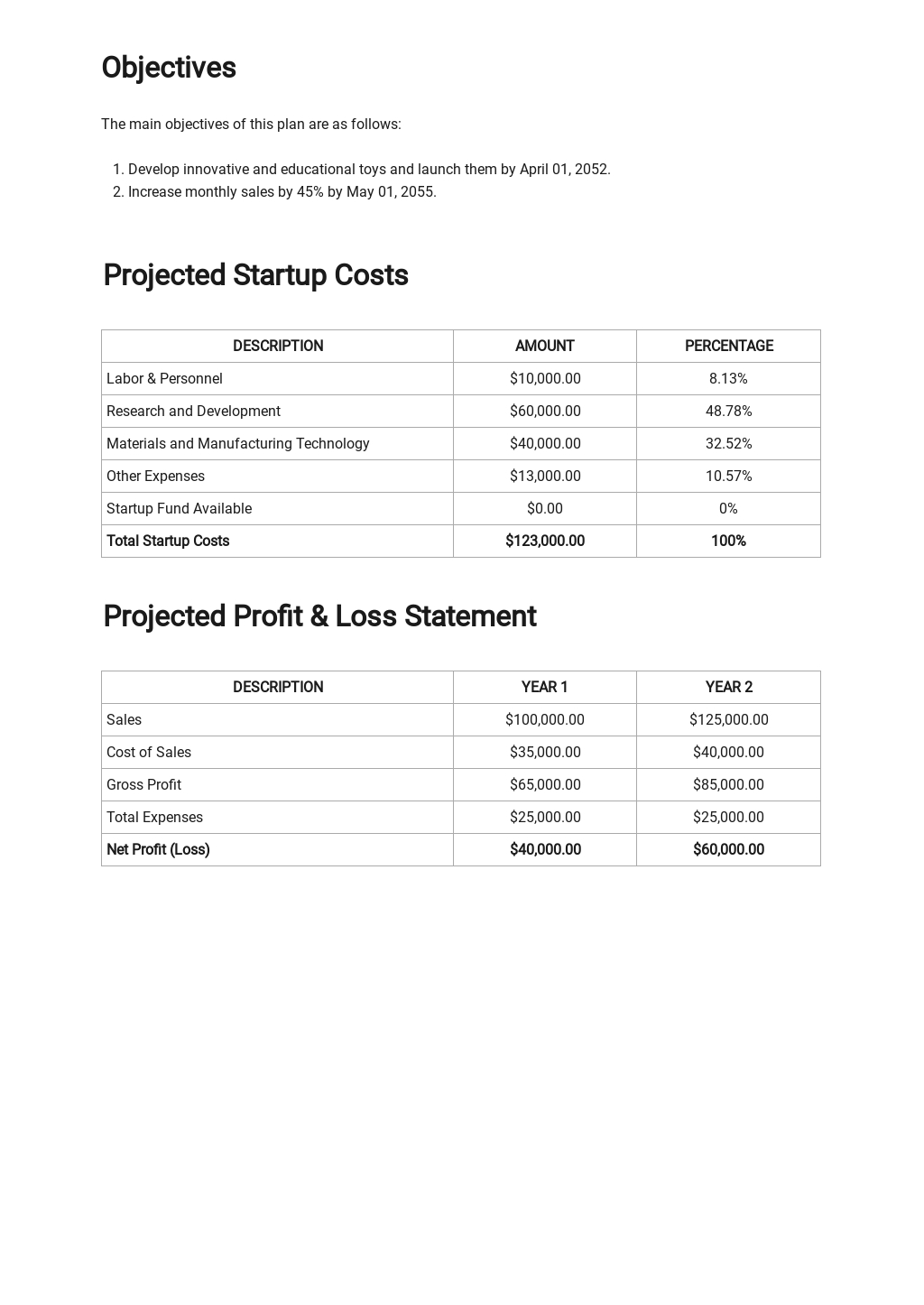 FREE Simple Business Plan Financial Template Google Docs Word PDF