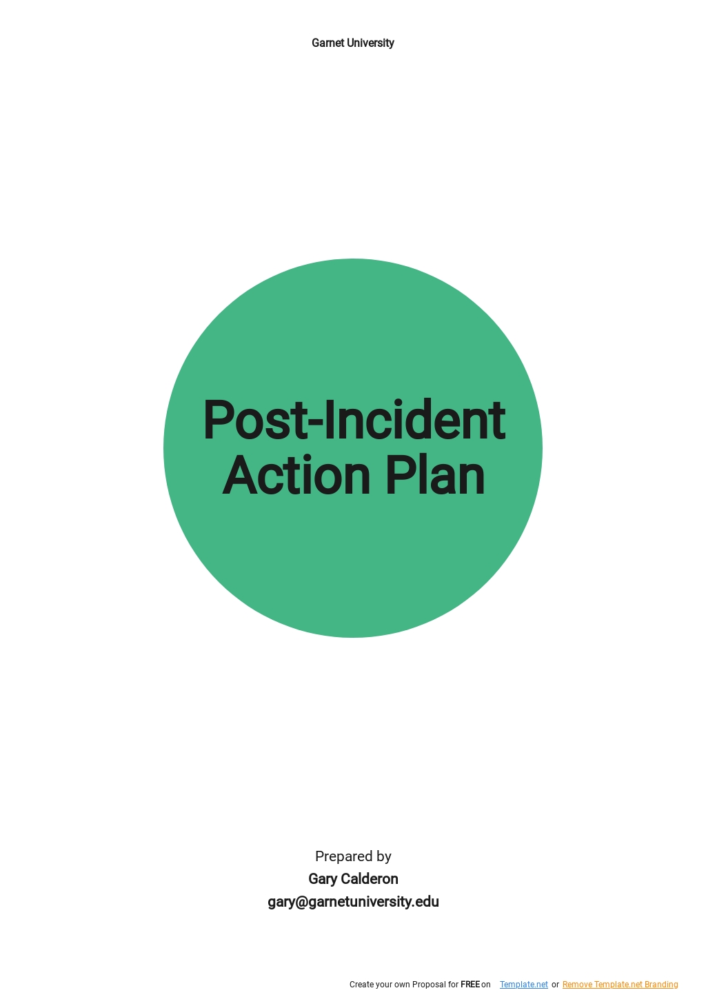 Incident Action Plan Template Google Docs Word Apple Pages