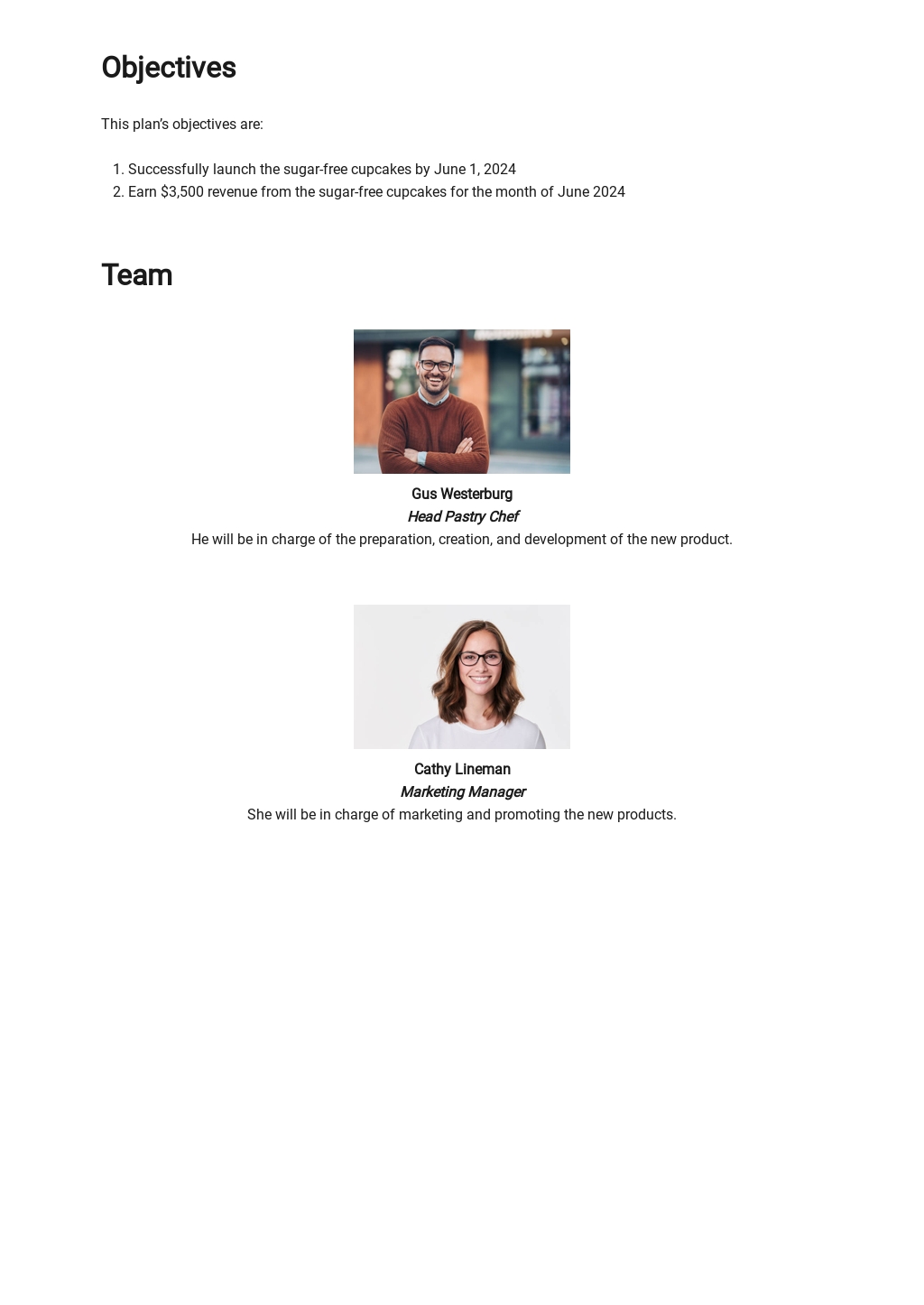 Business Development Action Plan Template [Free PDF] - Google Docs ...