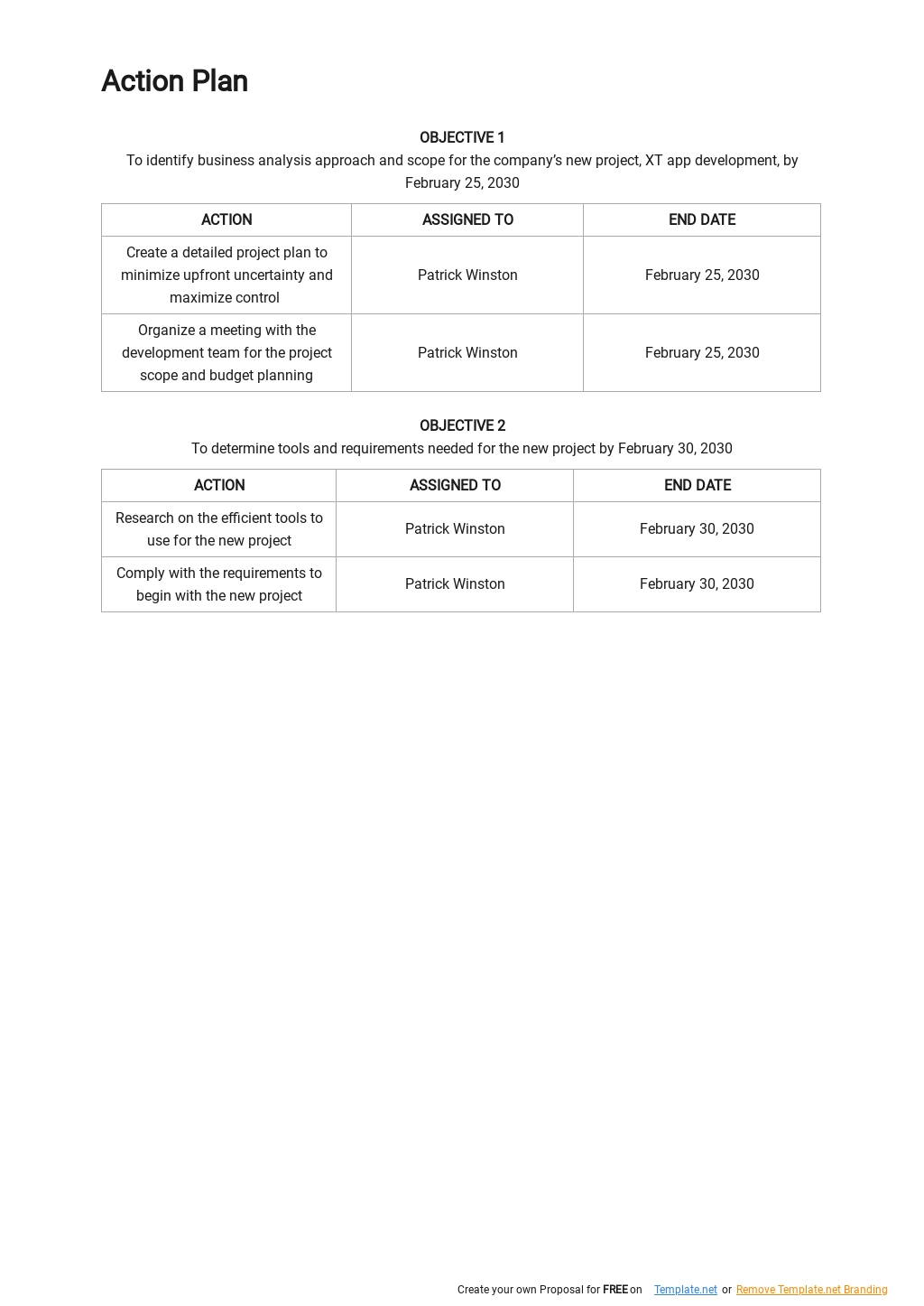 Business Analyst Action Plan Template [Free PDF] | Template.net