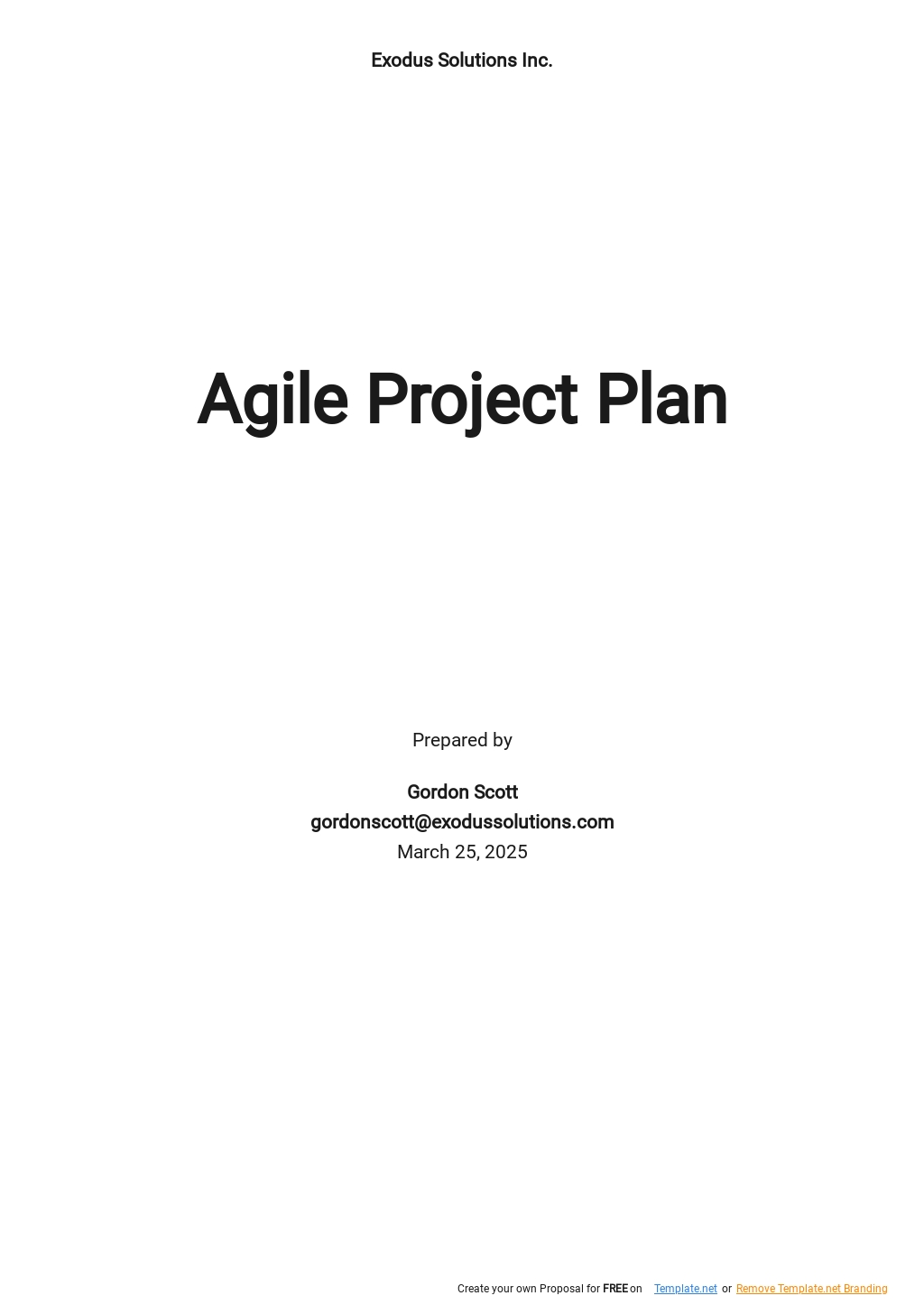 Agile Project Release Plan Template Google Docs Word Apple Pages 