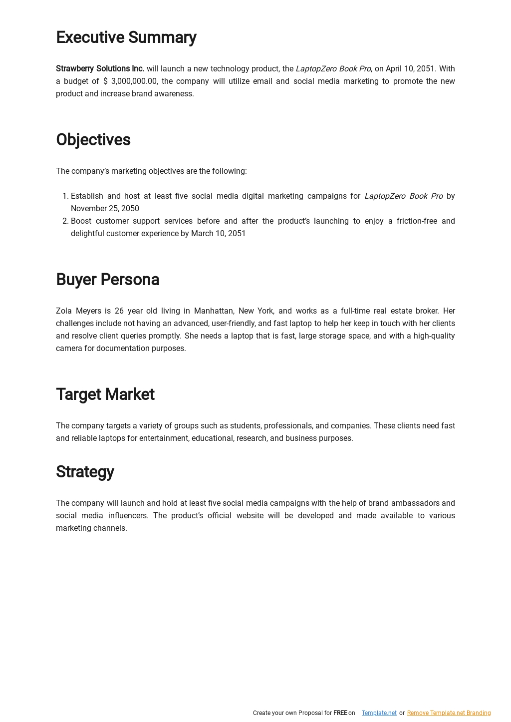 Free Go To Market Launch Plan Template - Google Docs, Word, Apple Pages ...