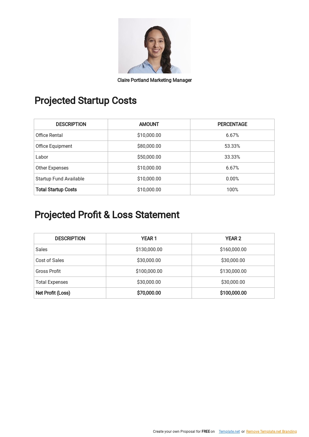 Online Marketing Business Plan Template - Google Docs, Word, Apple ...