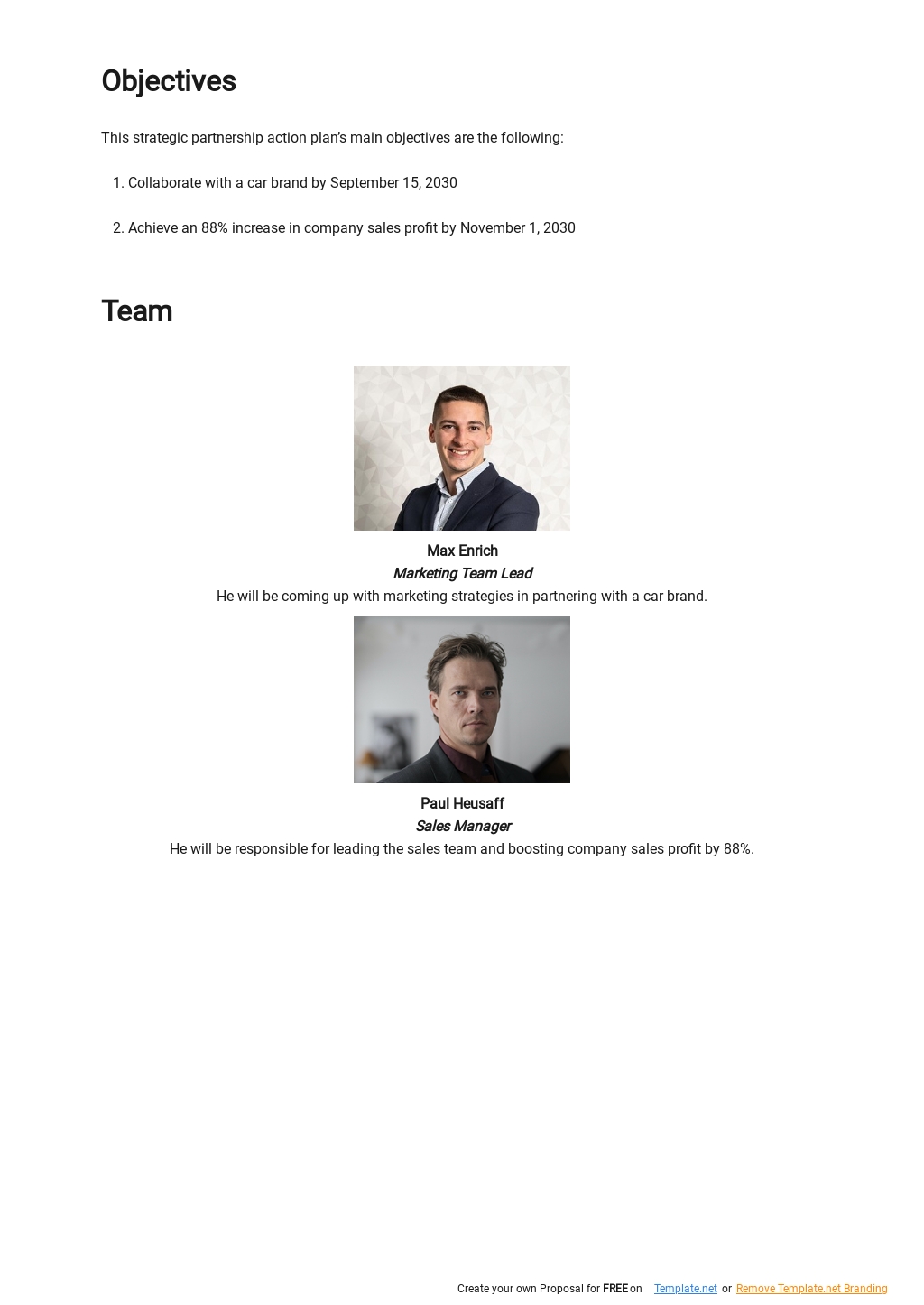 Strategic Partnership Action Plan Template in Google Docs, Word, Apple ...