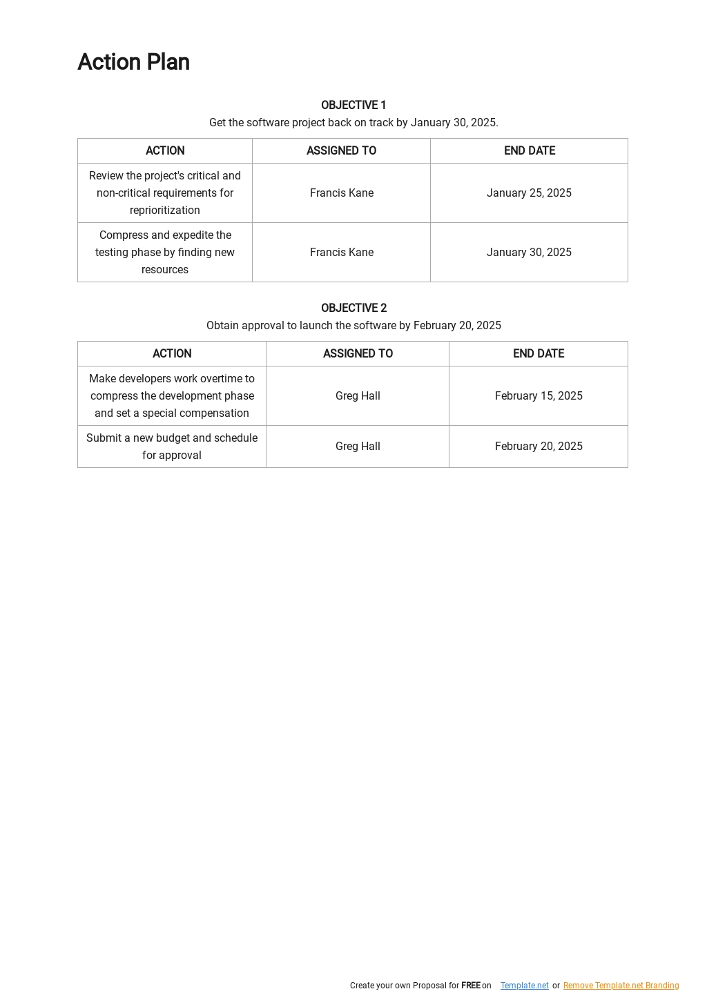 Project Management Action Plan Template [Free PDF] - Google Docs, Word ...