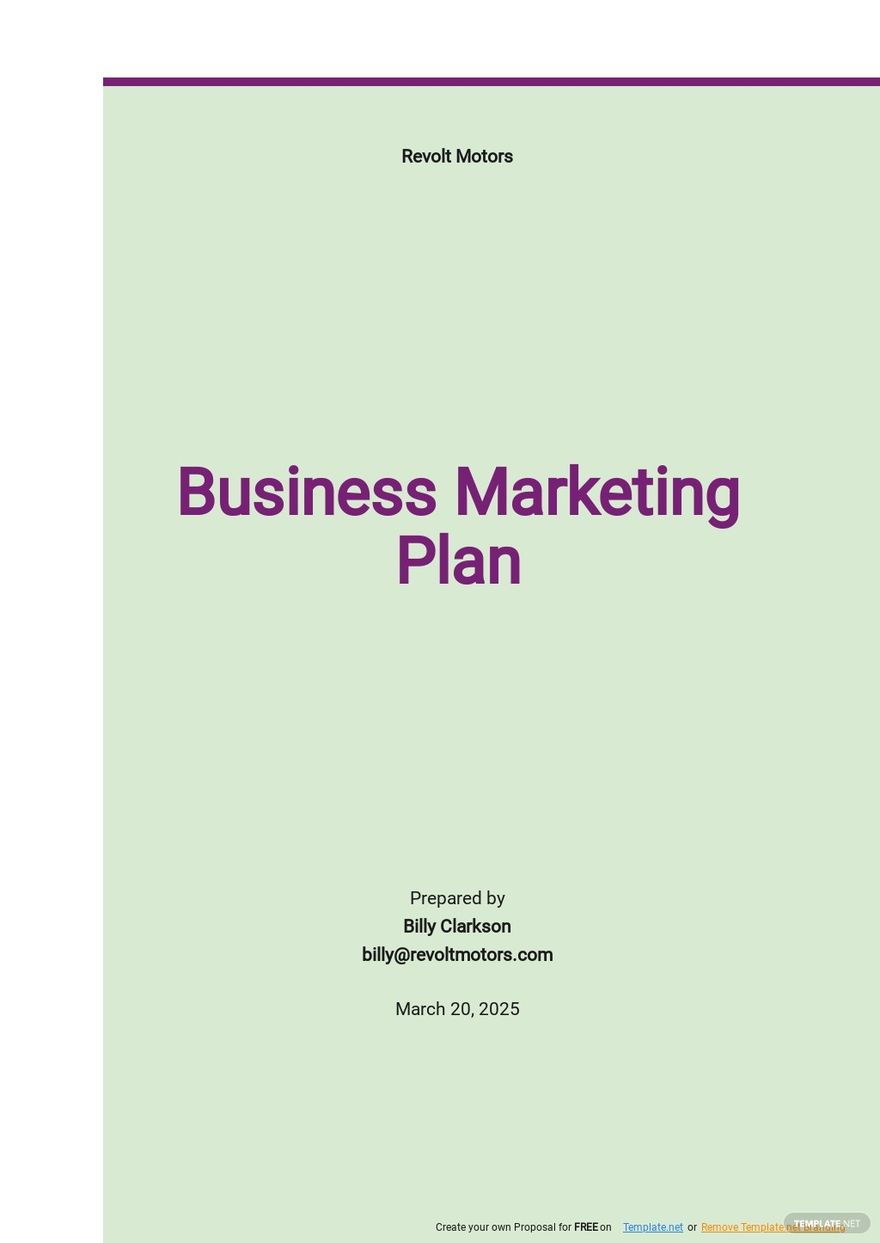Strategic Business Marketing Plan Template Free PDF Google Docs 