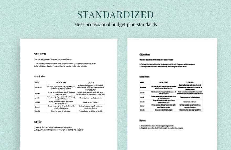 Free 6 Small Meals A Day Menu Plan Template Download In Word Google 