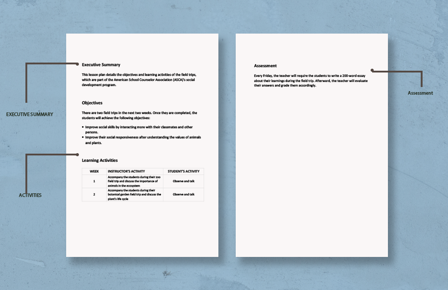 ASCA Elementary Lesson Plan Template In Word PDF Google Docs Pages
