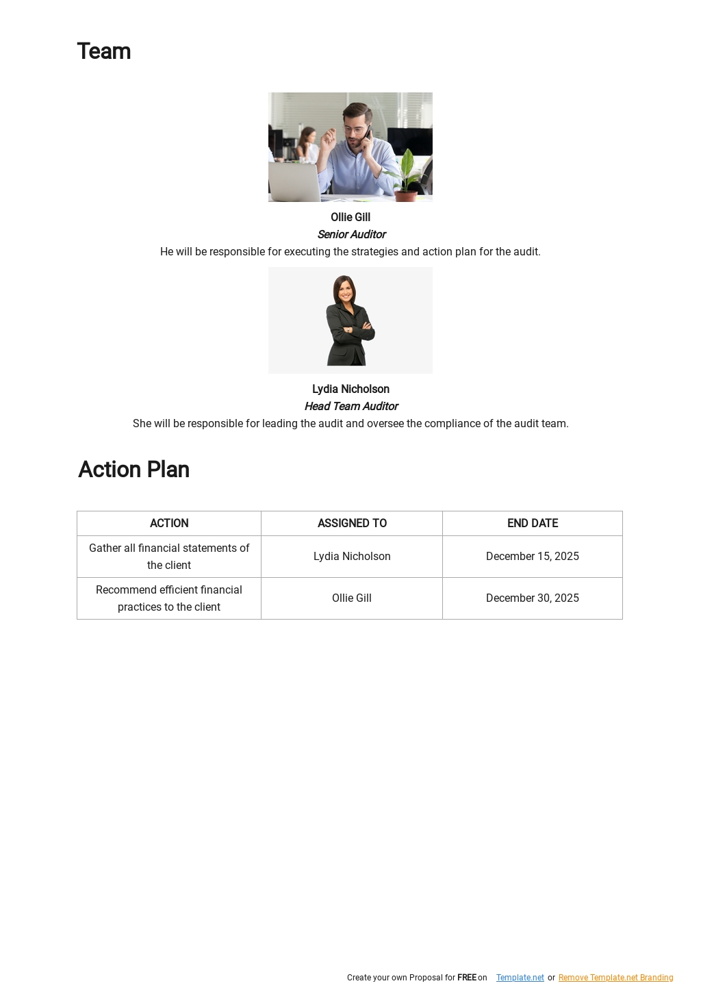 Audit Action Plan Template [Free PDF] | Template.net