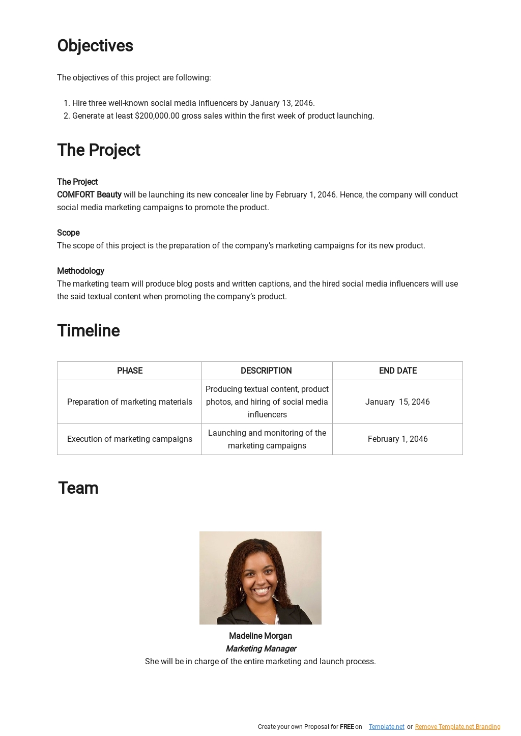 Marketing Campaign Project Plan Template In Google Docs Word Marketing Campaign Project Plan Template In Google Docs Word