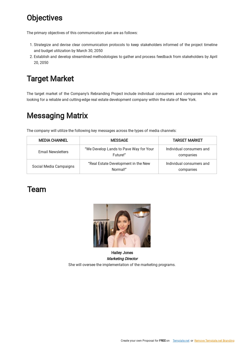Agile Project Management Communication Plan Template Free PDF 