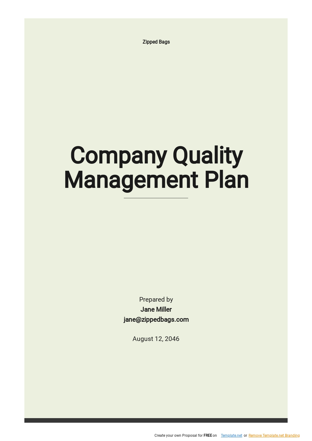Company Quality Management Plan Template - Google Docs, Word, Apple ...