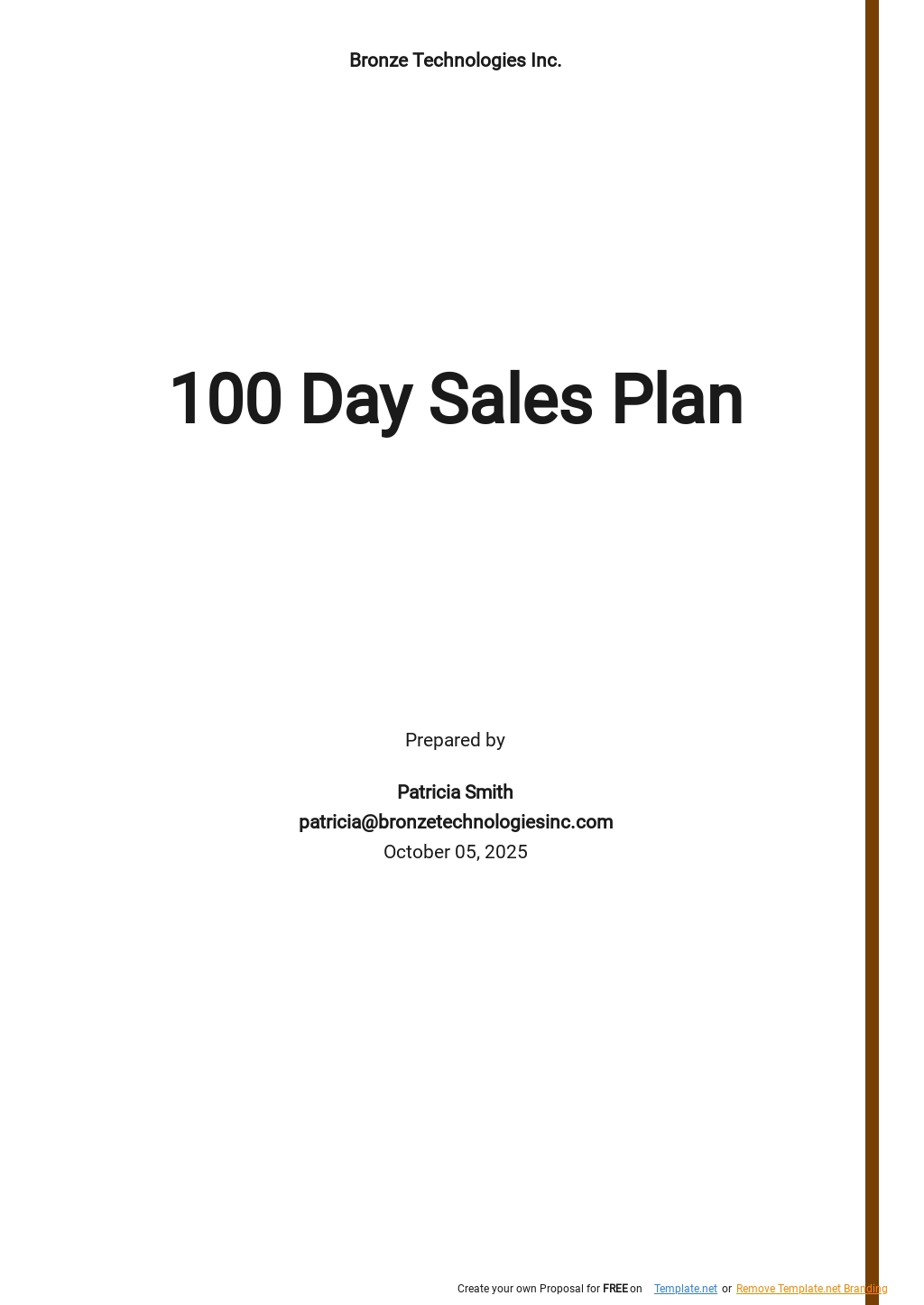 100 Day Executive Plan Template - Google Docs, Word, Apple Pages ...