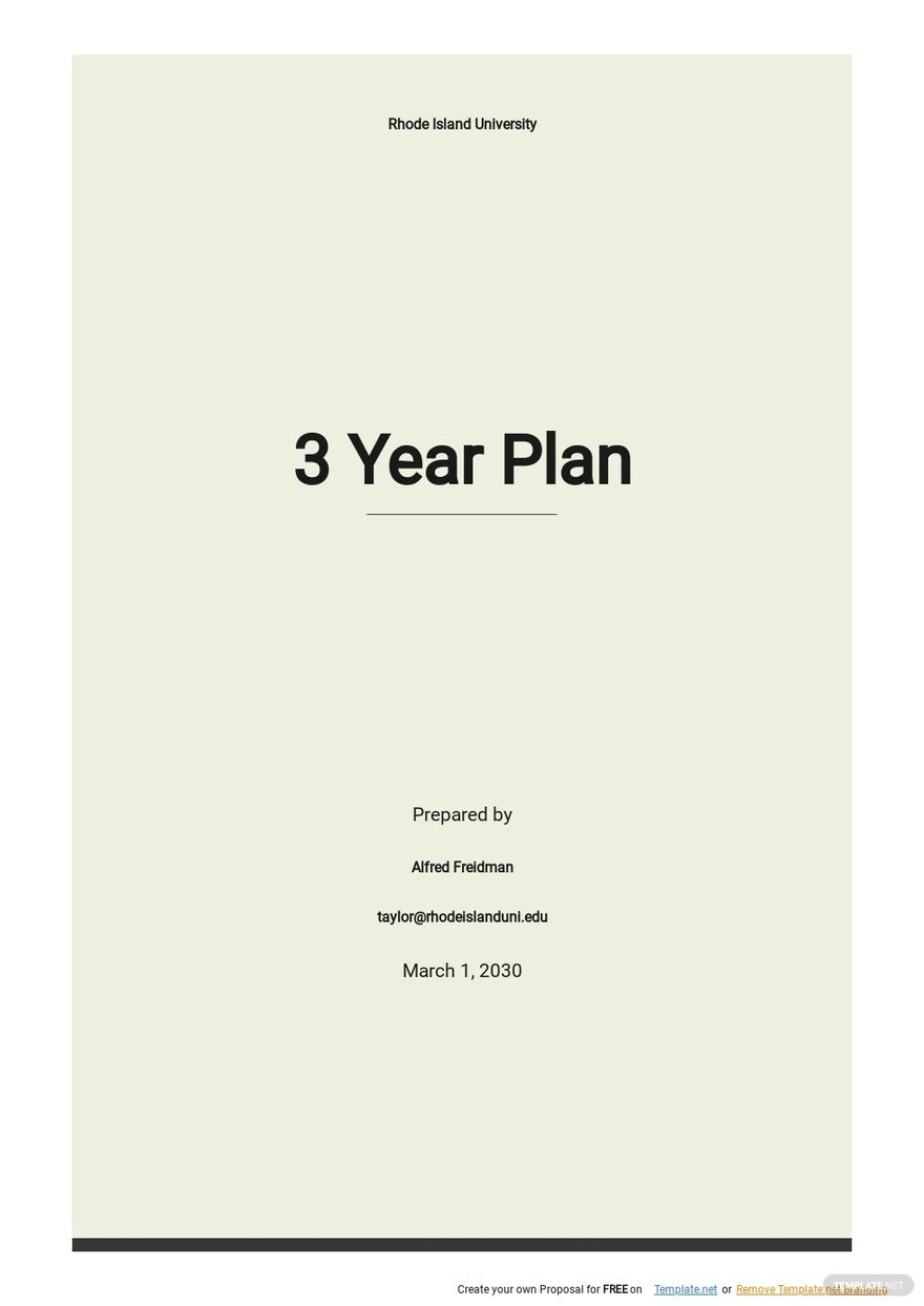 3 Year Plans Templates Format Free Download Template