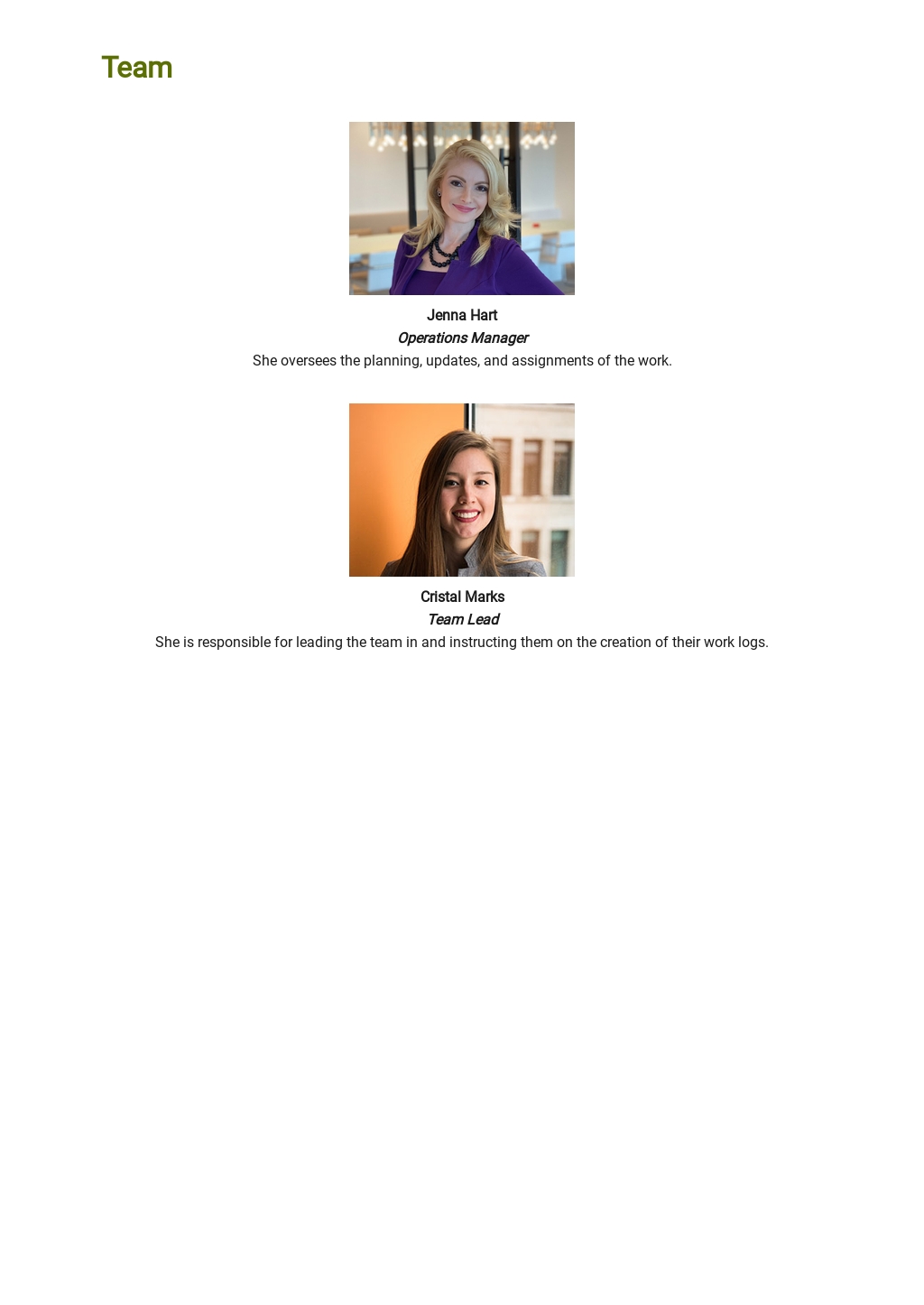 Work Handover Report Template [Free PDF] - Word (DOC) | Apple (MAC) Pages