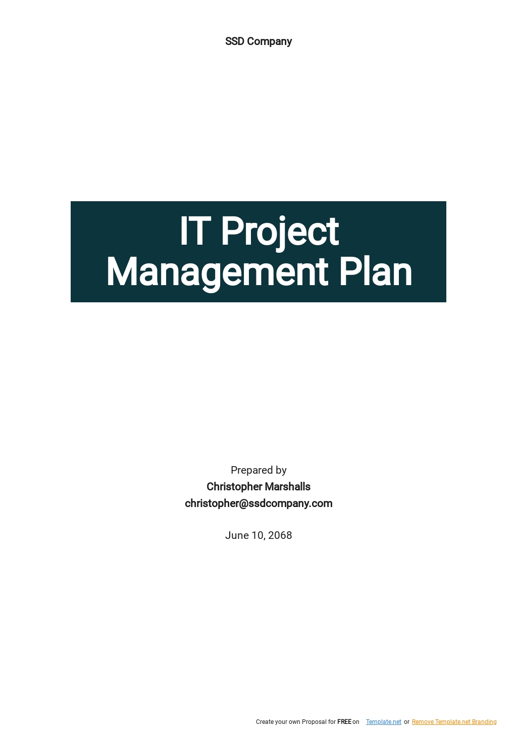 Project Management Plan Template - Google Docs, Word, Apple Pages ...
