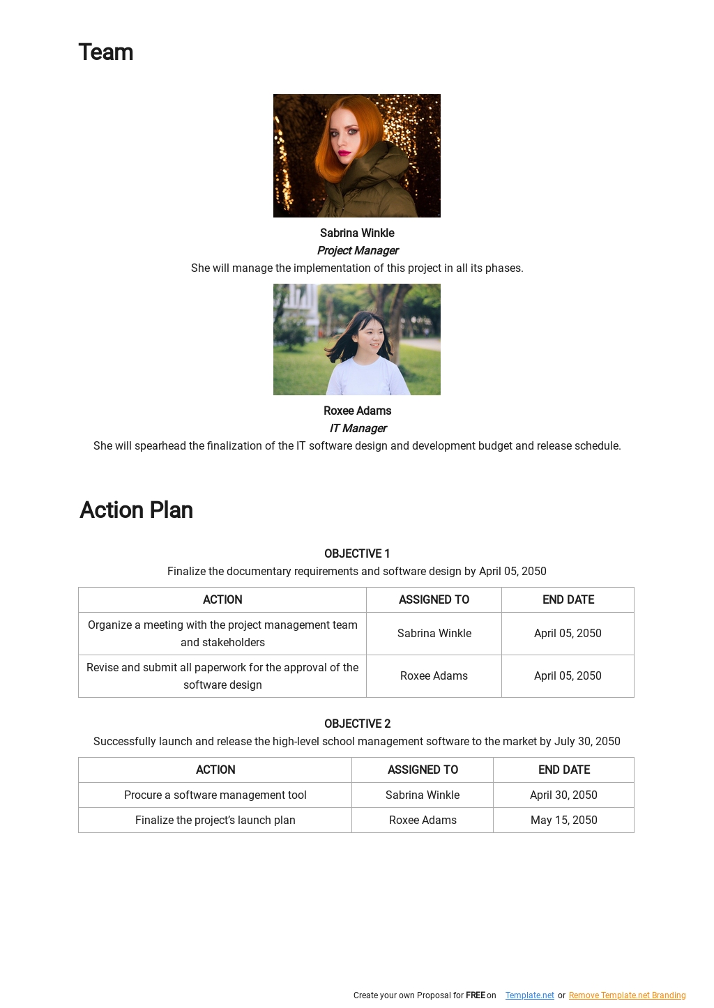 High Level IT Project Plan Template [Free PDF] - Google Docs, Word ...