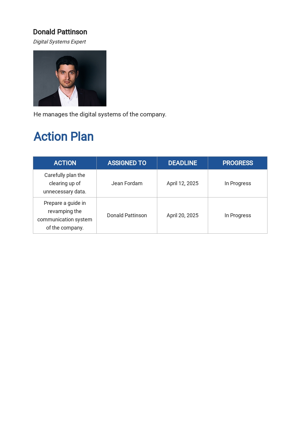 Operational System Plan Template [Free PDF] - Word (DOC) | Apple (MAC ...