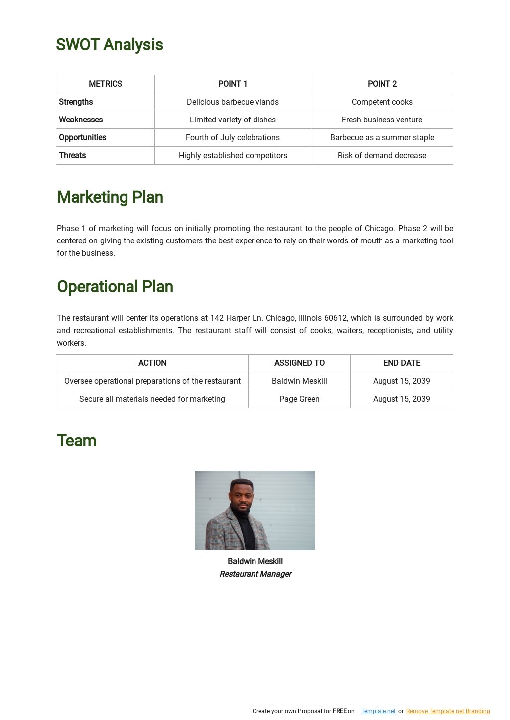 FREE Sample 5 Year Business Plan Template In Google Docs Word PDF Template