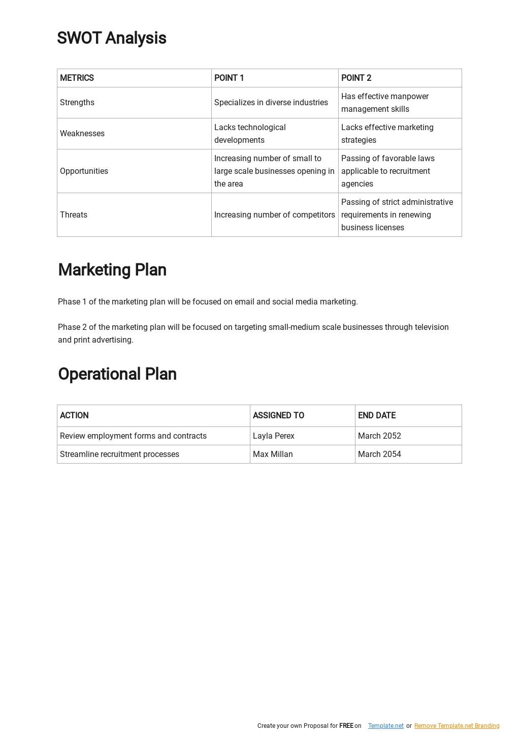 5 Year Strategic Business Plan Template Free PDF Google Docs Word PDF Template