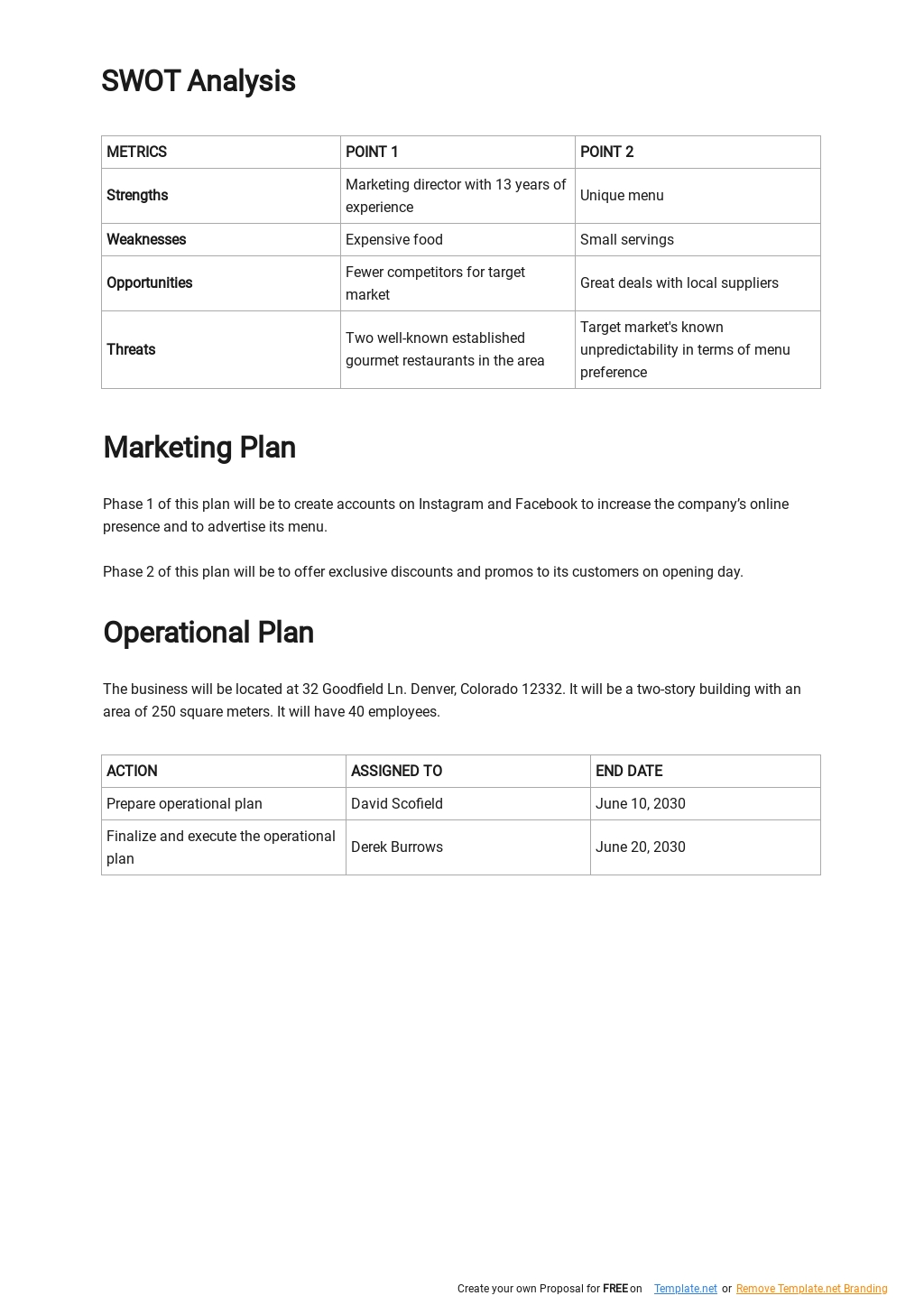 5 Year Sales Business Plan Template - Google Docs, Word, Apple Pages ...