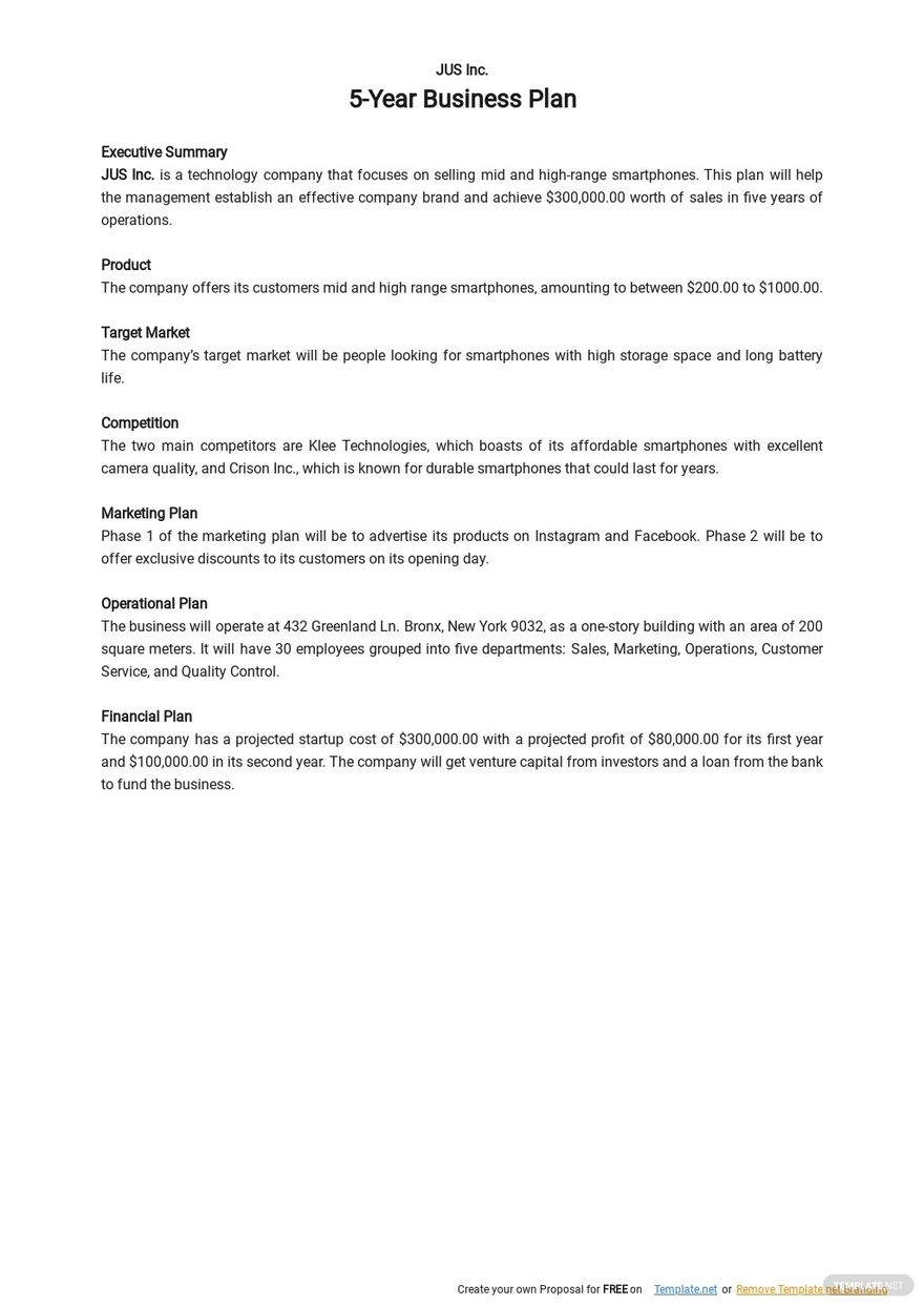 Sample IT One Page Business Plan Template - Google Docs, Word ...