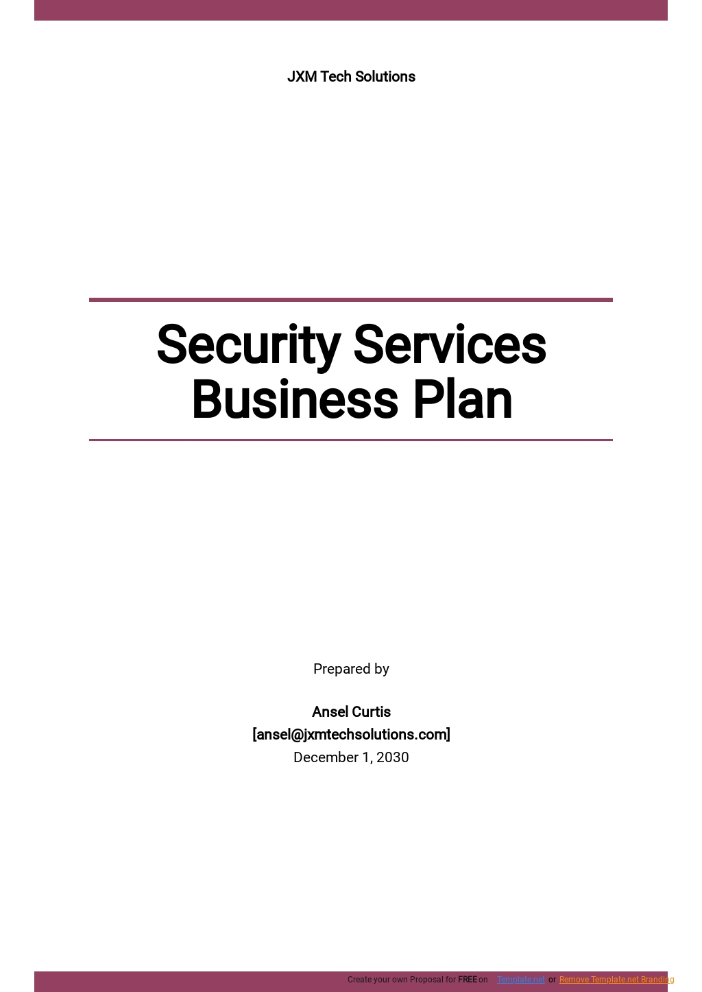 IT Security Business Plan Template Google Docs Word Apple Pages 