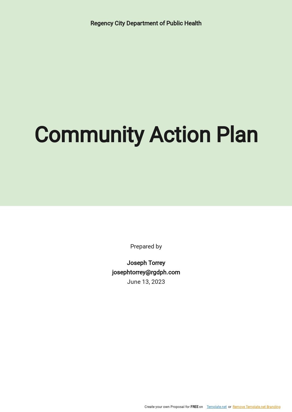 Simple Action Plan Template Free PDF Google Docs Word PDF 