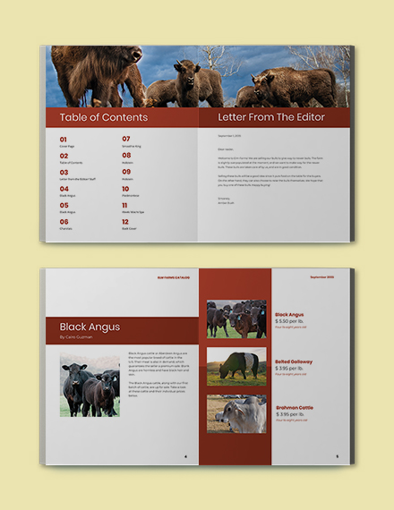 Free Bull Sale Catalog Template - InDesign, Word, PDF | Template.net
