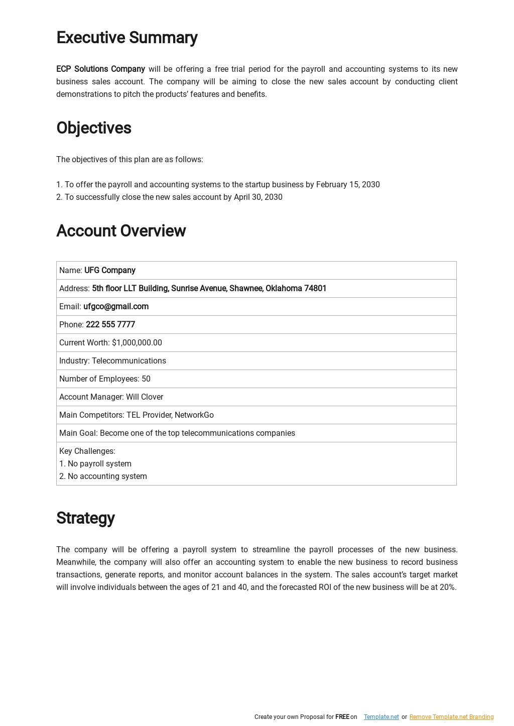 New Business Sales Account Plan Template - Google Docs, Word, Apple ...