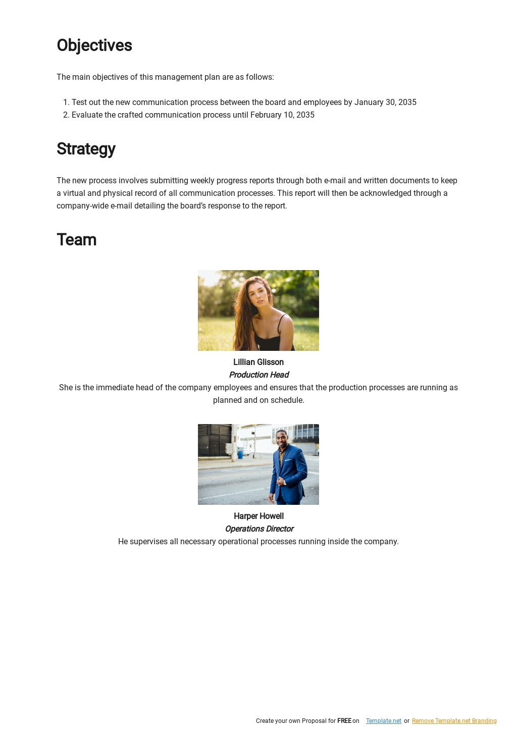 Communication Management Plan Template in Google Docs, Word | Template.net
