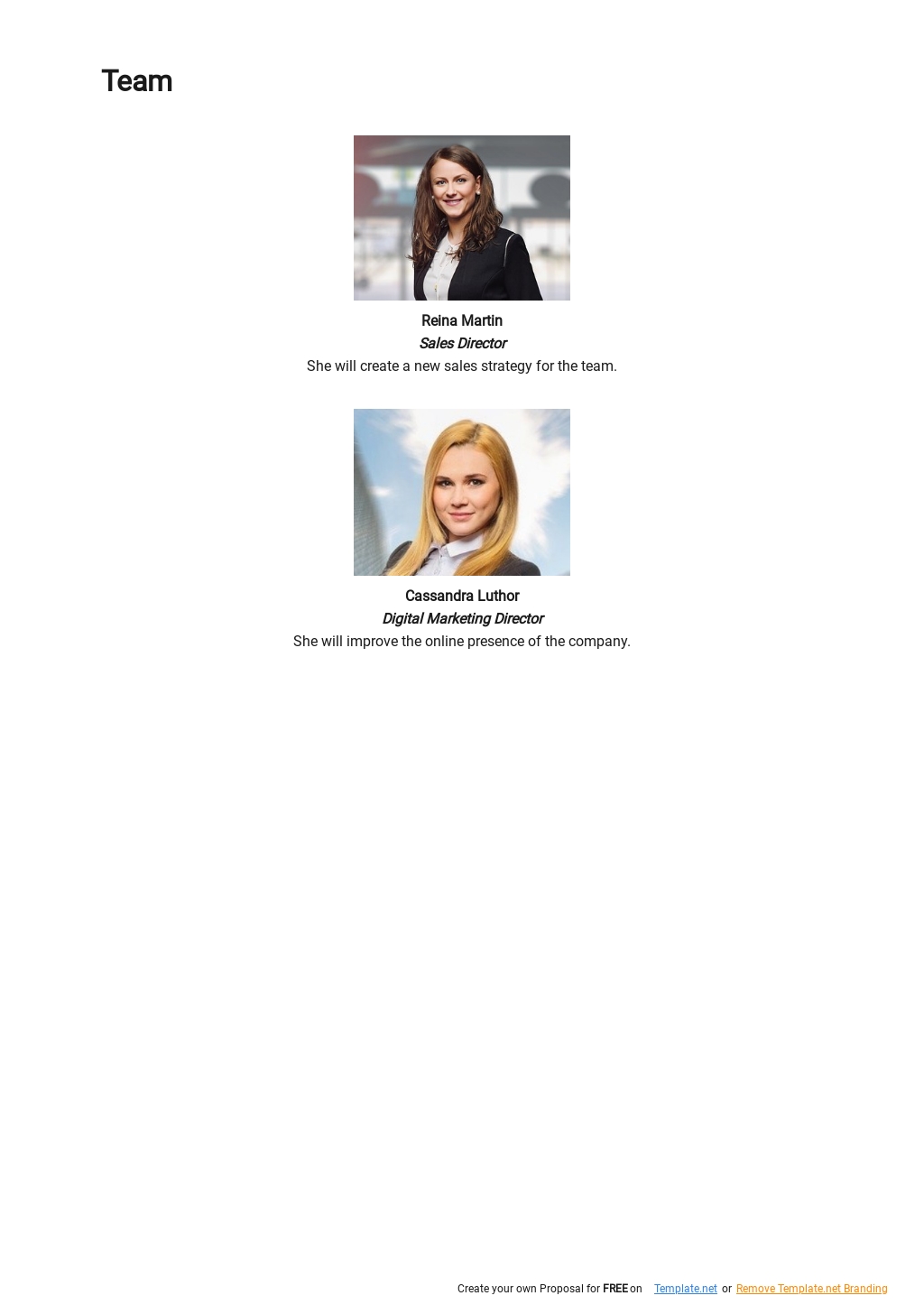 Sales Target Account Plan Template - Google Docs, Word, Apple Pages ...