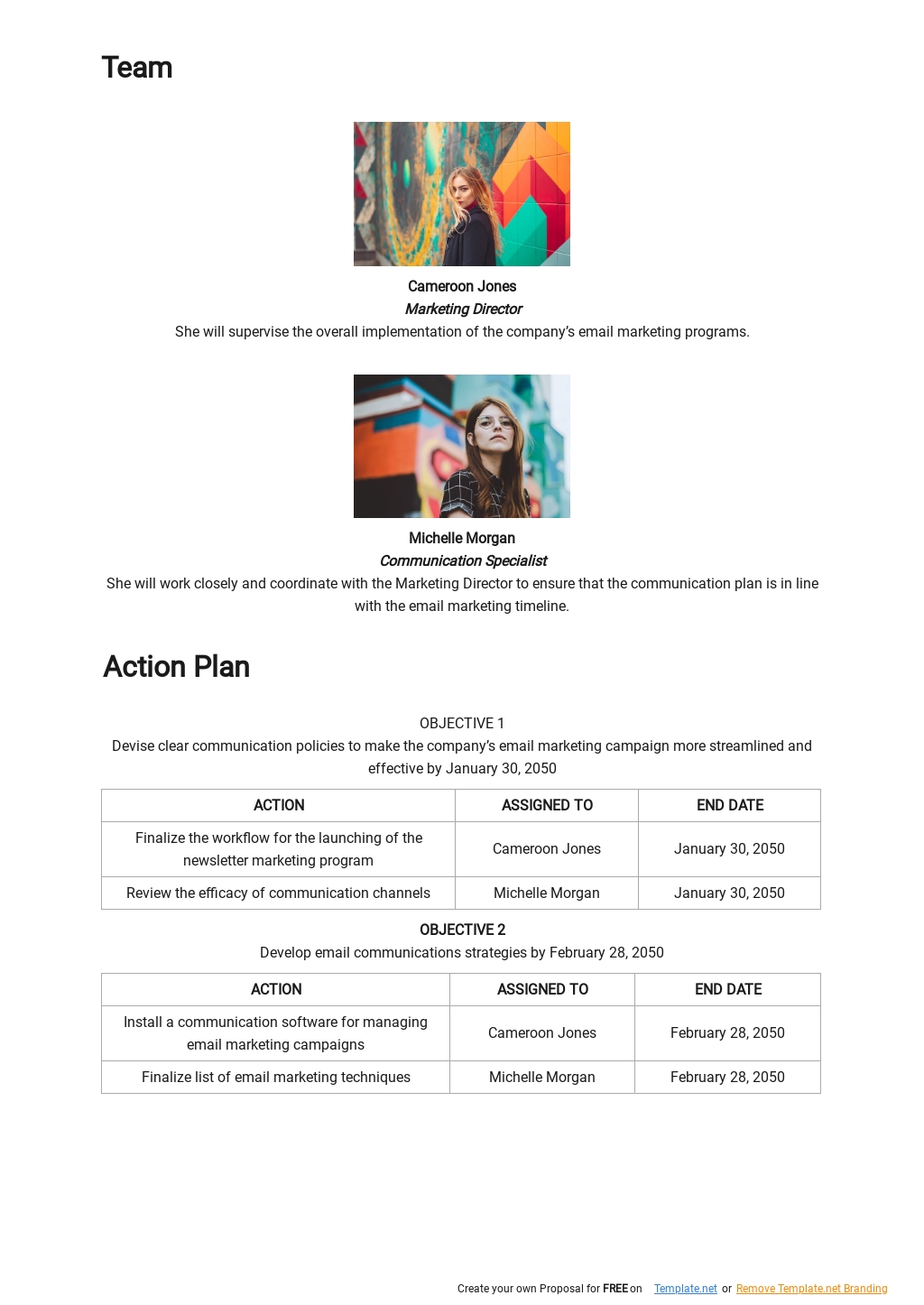 Free Email Marketing Communication Plan Template - Google Docs, Word ...