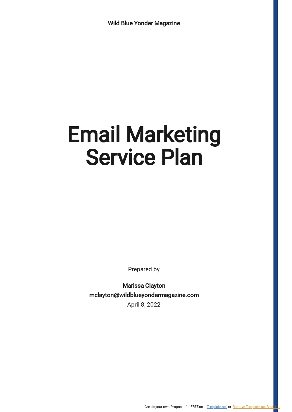 Delivery Service Marketing Plan Template Google Docs Word Apple 