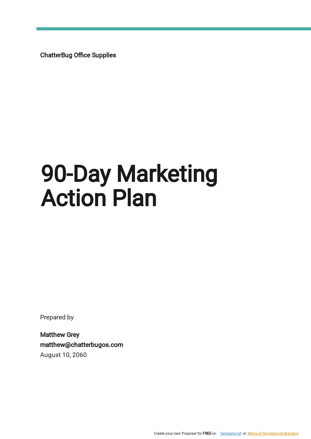 30 60 90 Day Action Plan Template Google Docs Word Template