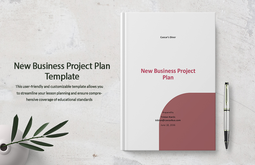 New Business Project Plan Template Download In Word Google Docs PDF Apple Pages Template