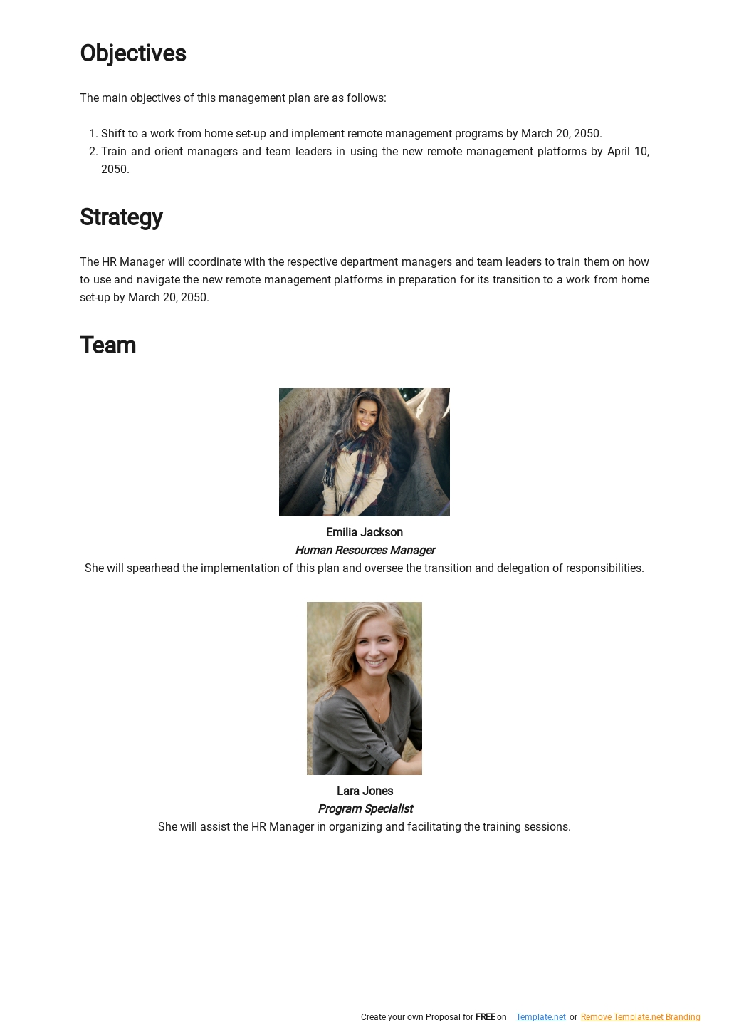 Program Change Management Plan Template - Google Docs, Word, Apple ...