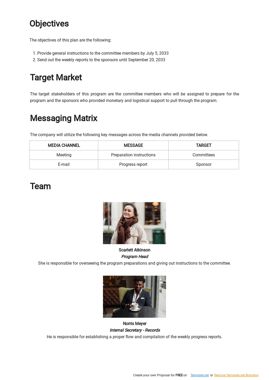 Free Sample Program Management Communication Plan Template - Google ...